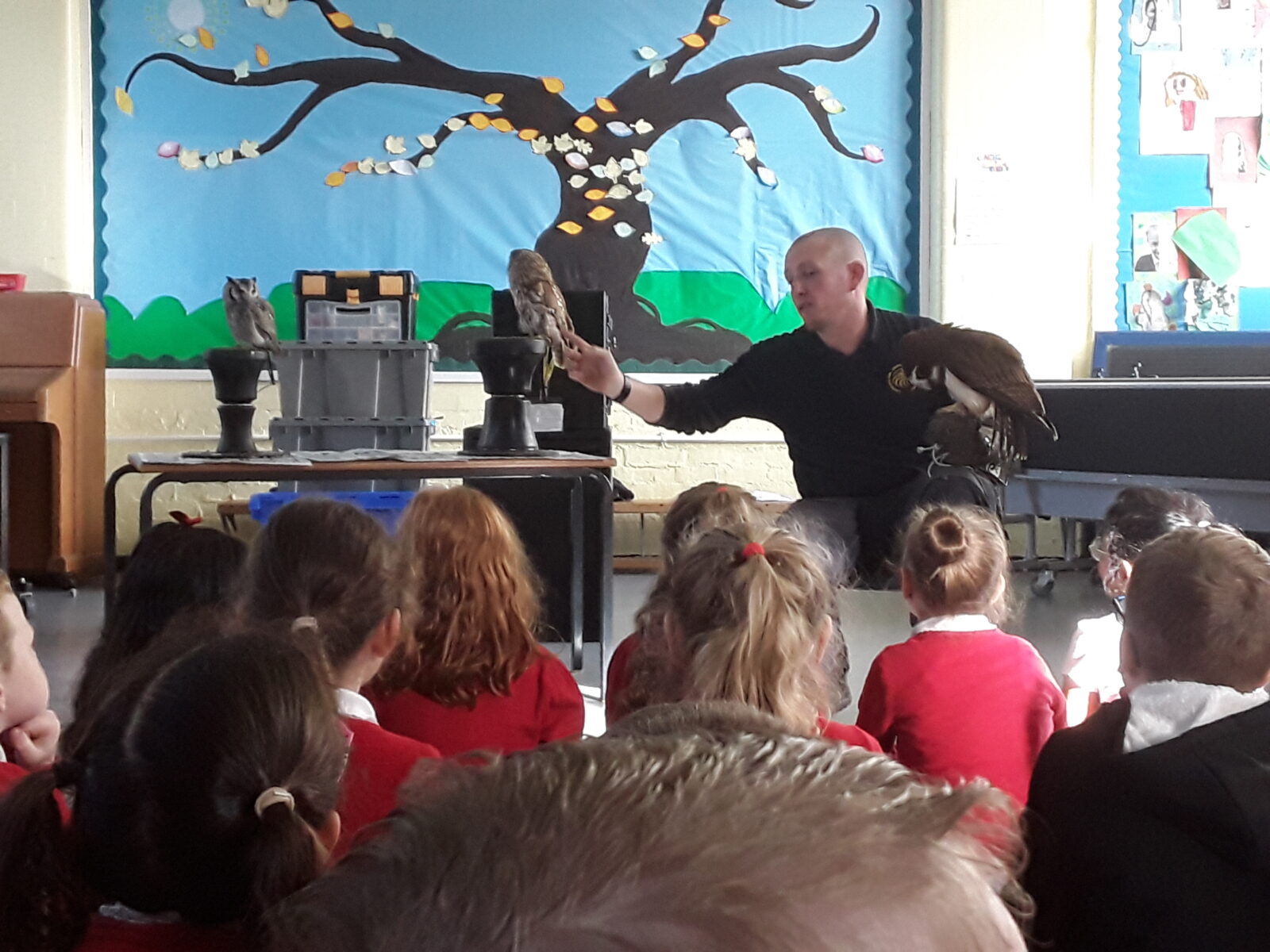 Gallery - Portsdown Primary School & Early Years